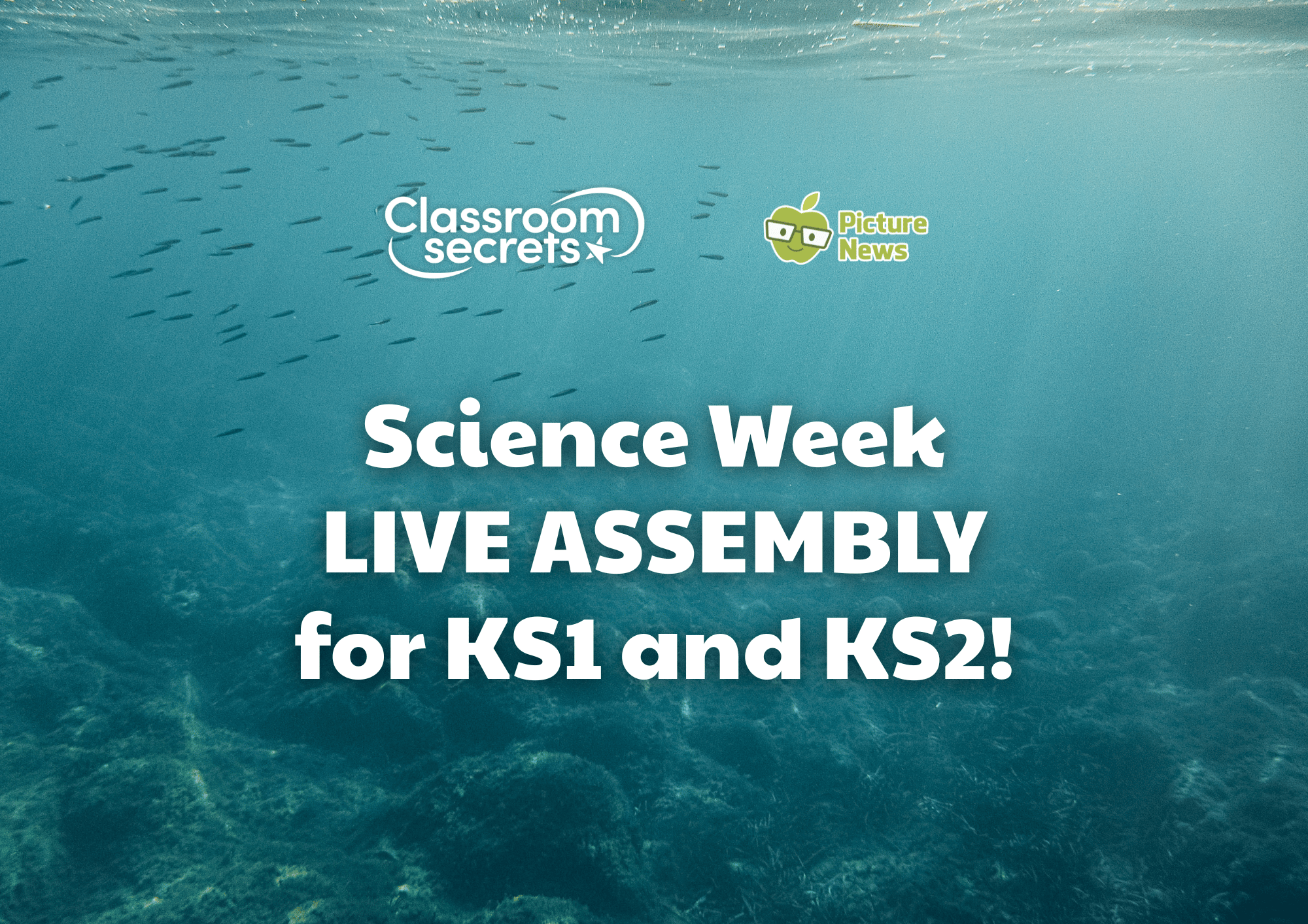 Science Week 2026 Live Assembly for Schools – Including a Real ...